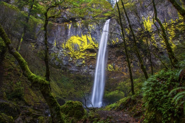 10 Bucket List Waterfalls In Oregon You Won't Want To Miss! - Follow Me ...