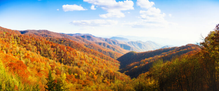 12 Best Places to See Fall Foliage in Tennessee - Follow Me Away
