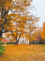 Ultimate 3-Day Connecticut Fall Foliage Road Trip Itinerary (New ...