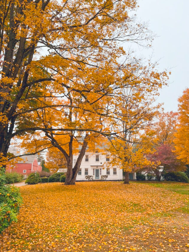 Ultimate 3-Day Connecticut Fall Foliage Road Trip Itinerary (New ...