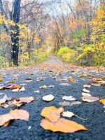 Ultimate 3-Day Connecticut Fall Foliage Road Trip Itinerary (New ...