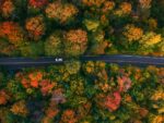 10 Best States For Fall Foliage in the USA - Follow Me Away